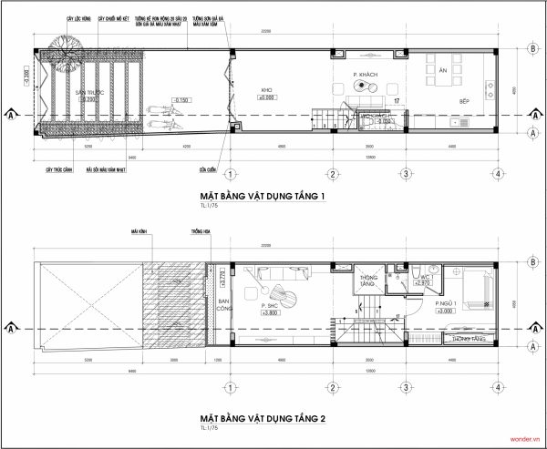 Trần Tiến Đức - wonder.vn